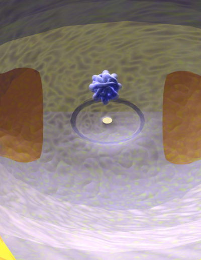 Philoxerax | Philippe Chevalier's artworks